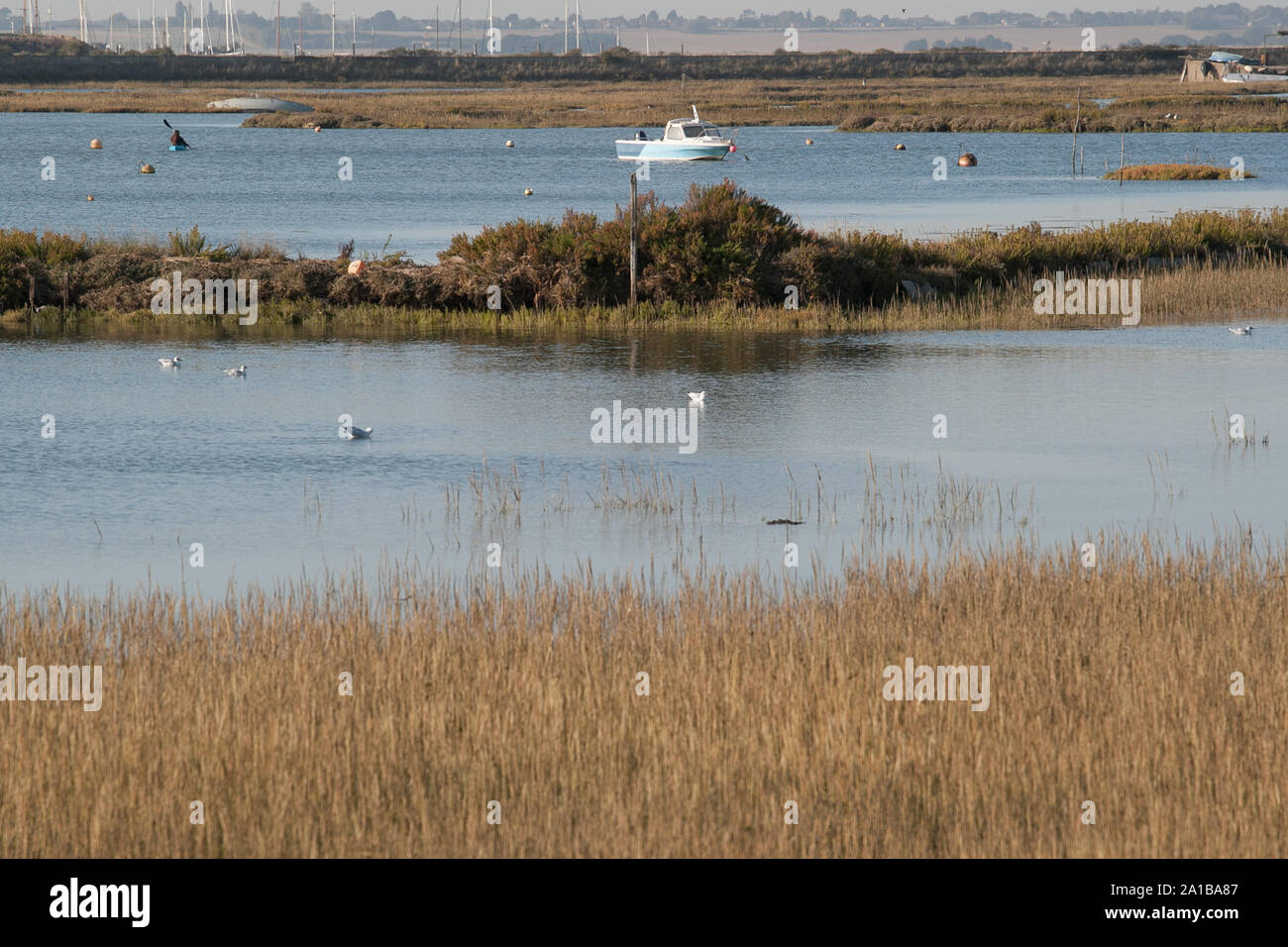 The naze nature reserve hi-res stock photography and images - Alamy