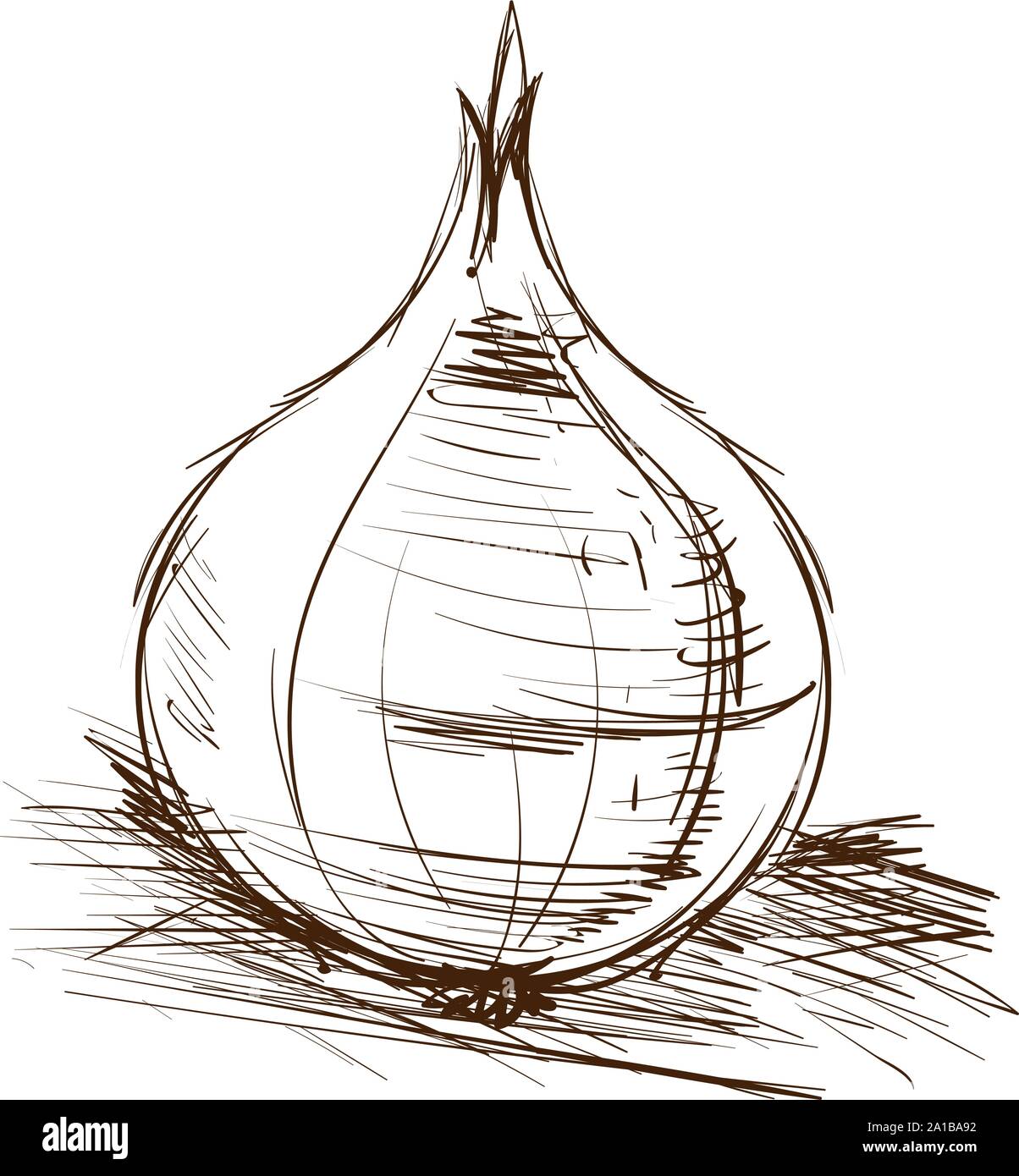 Onion drawing, illustration, vector on white background Stock Vector ...