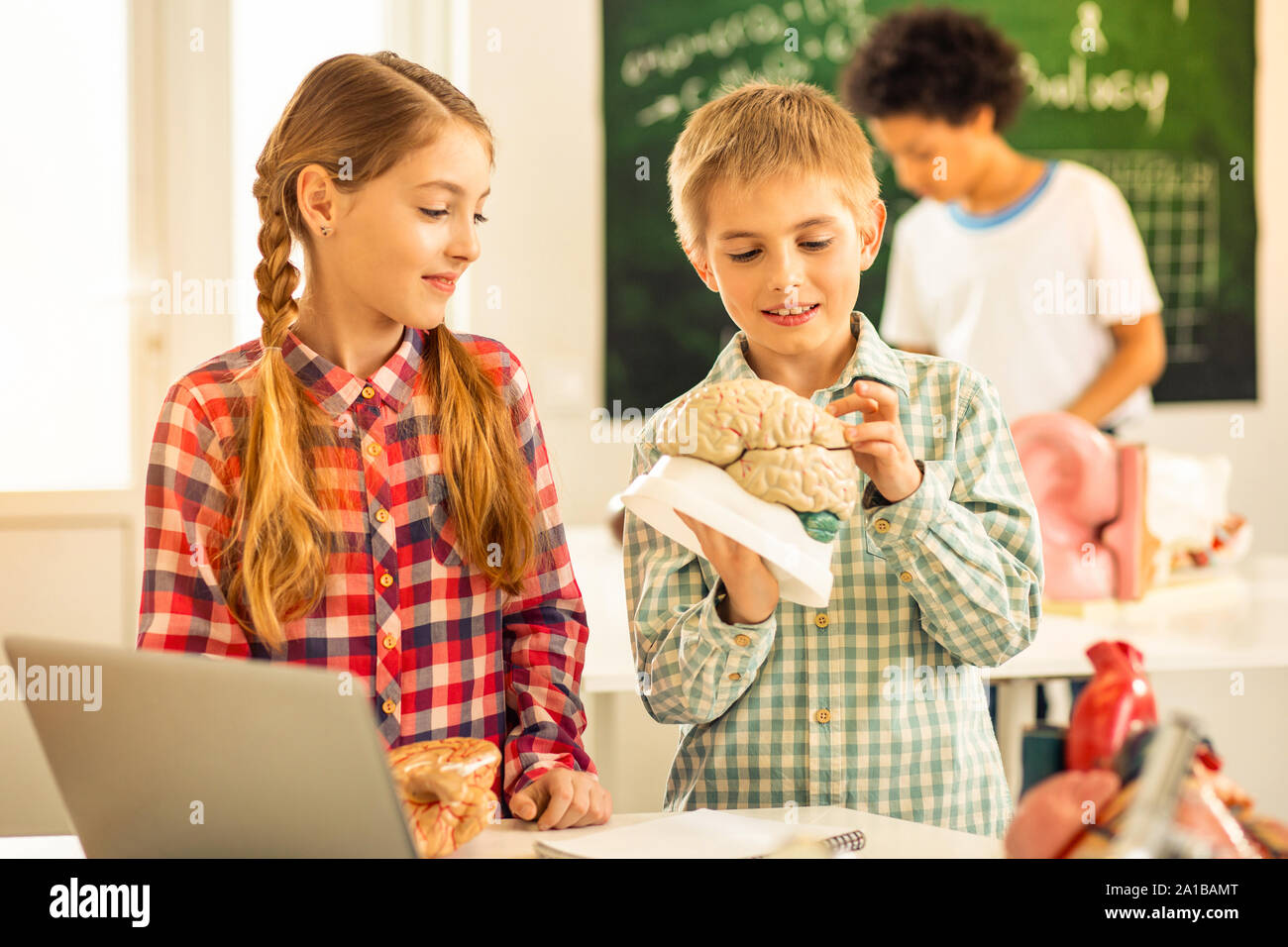 Positive delighted pupil touching model of brains Stock Photo - Alamy