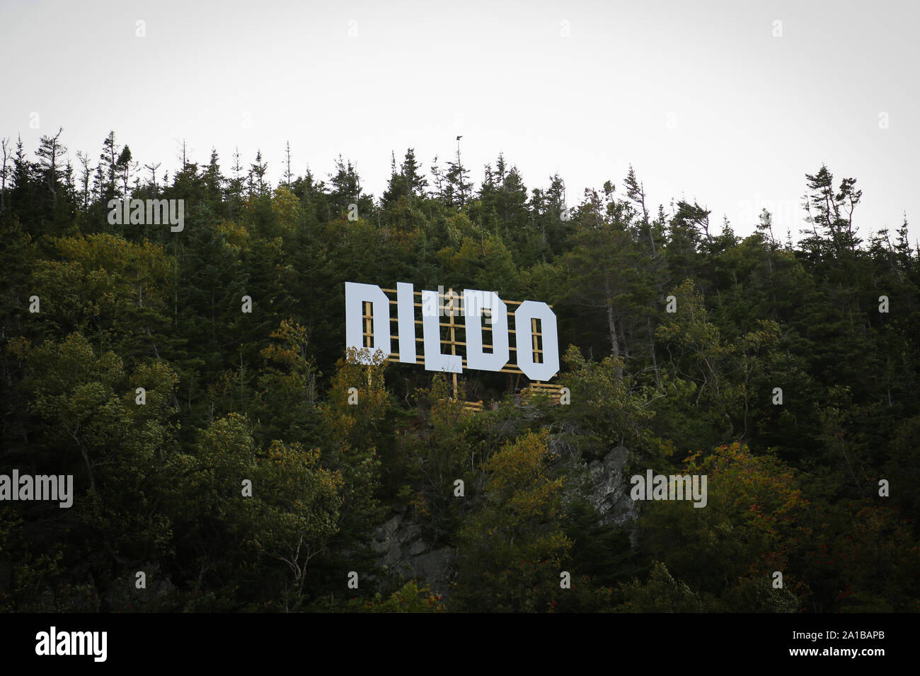Travel newfoundland labrador hi-res stock photography and images - Alamy