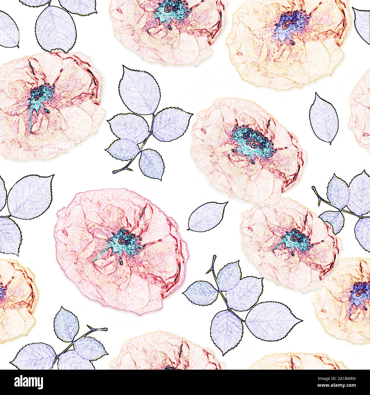 Rose flowers sketch pattern Stock Photo - Alamy