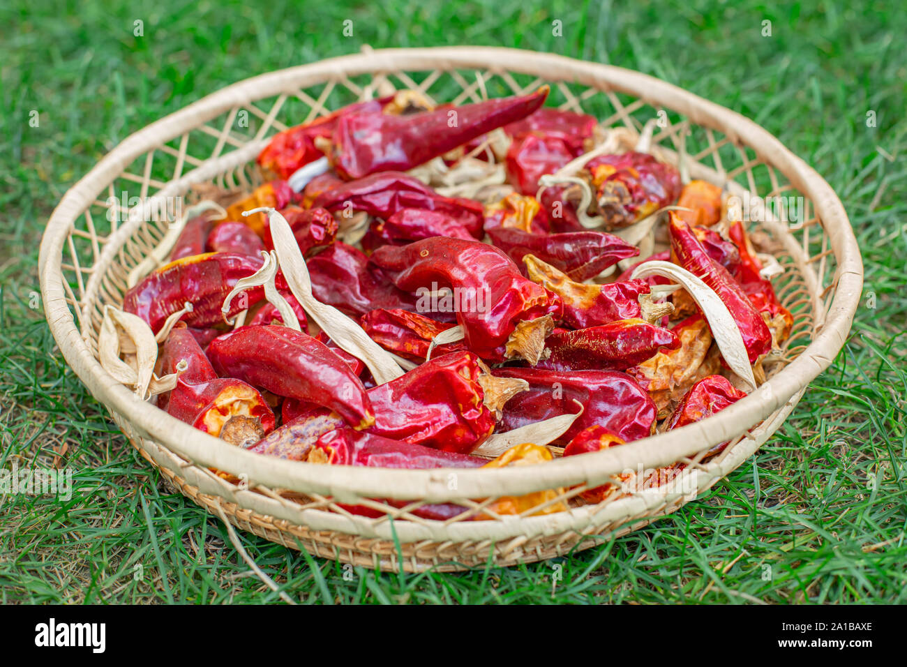 Chilli processing hi-res stock photography and images - Alamy