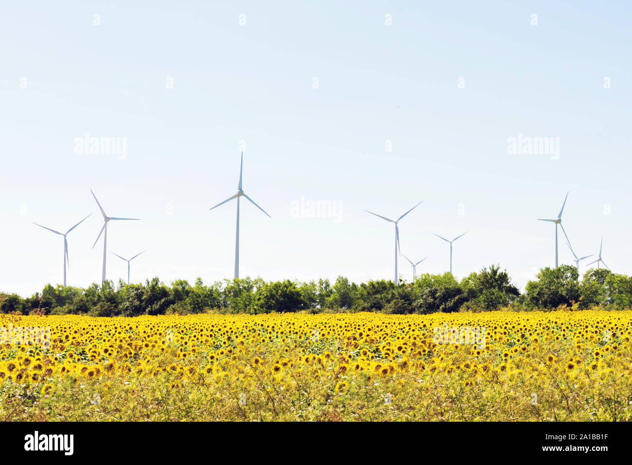 Windmills for electric power Stock Photo - Alamy