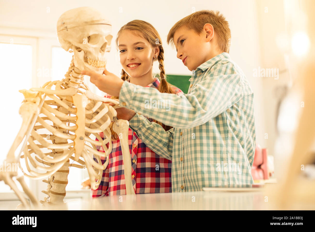 Human skeleton in classroom hi-res stock photography and images - Alamy