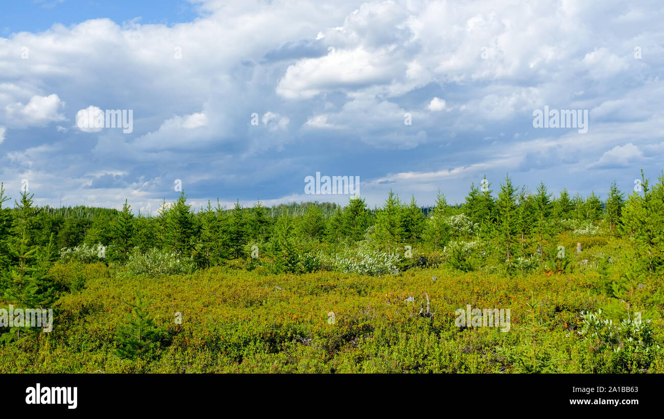 Landscape, Northern Quebec, Canada Stock Photo - Alamy