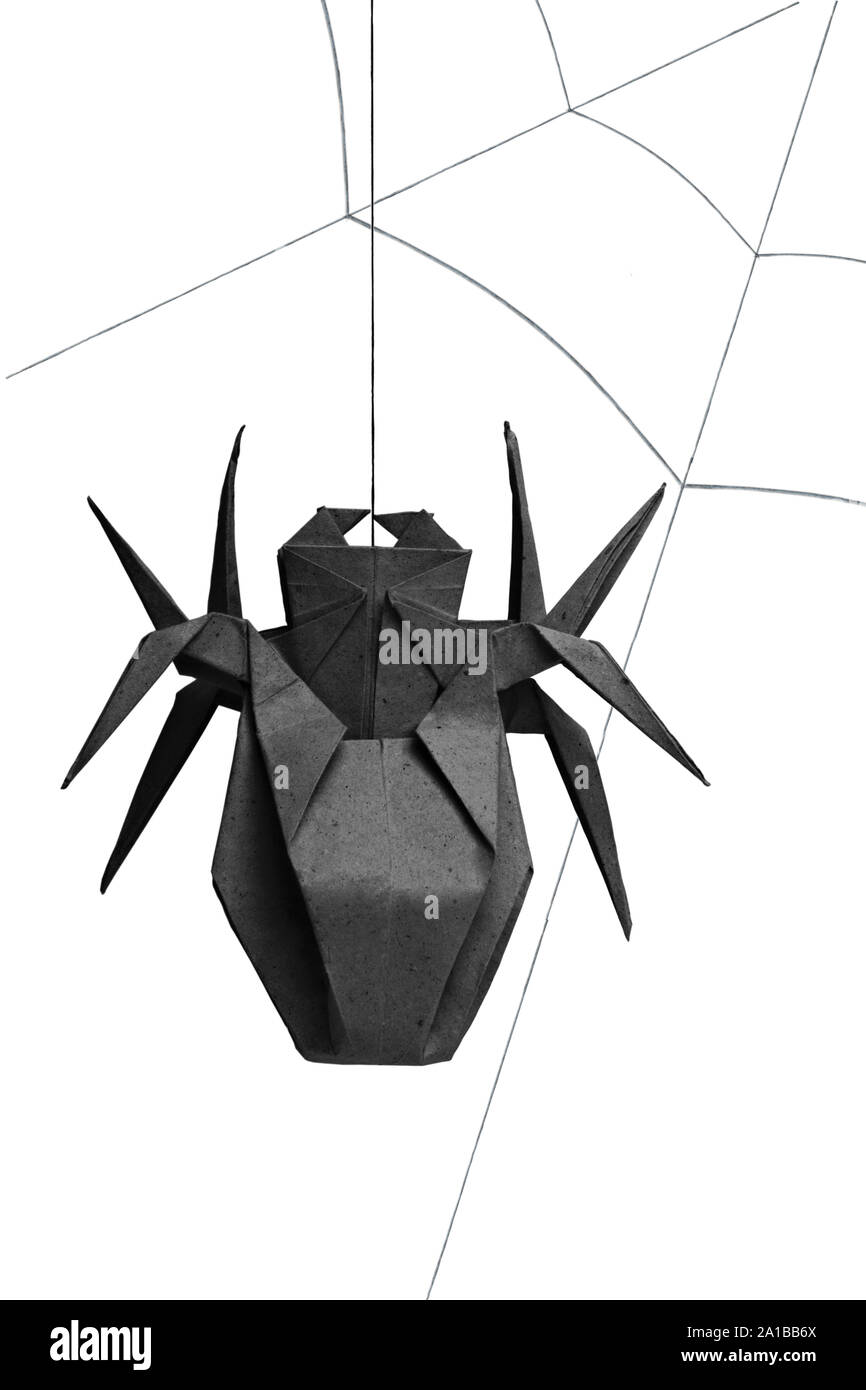 Origami spider web hi-res stock photography and images - Alamy