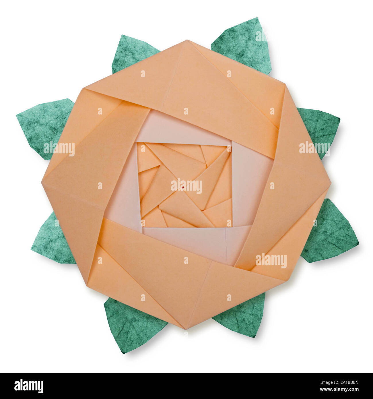 Japanese yellow rose hi-res stock photography and images - Alamy