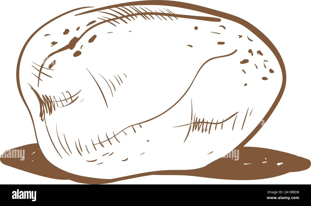 Potato drawing, illustration, vector on white background Stock Vector ...