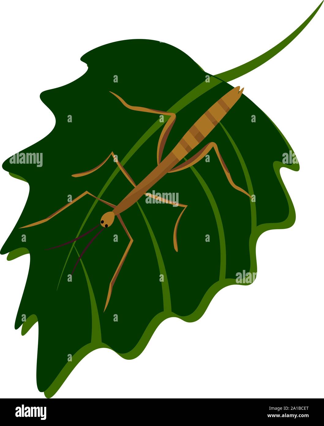 Caterpillar food Stock Vector Images - Alamy