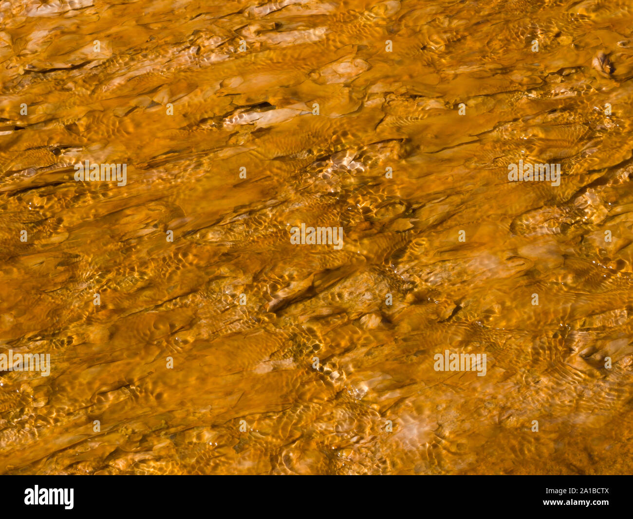 Bacterial activity hi-res stock photography and images - Alamy