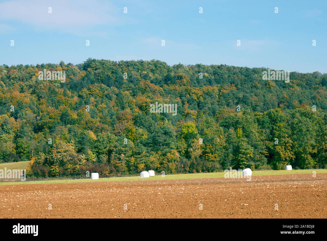 The crop in the fields is harvested, plowing and sowing of winter crops ...