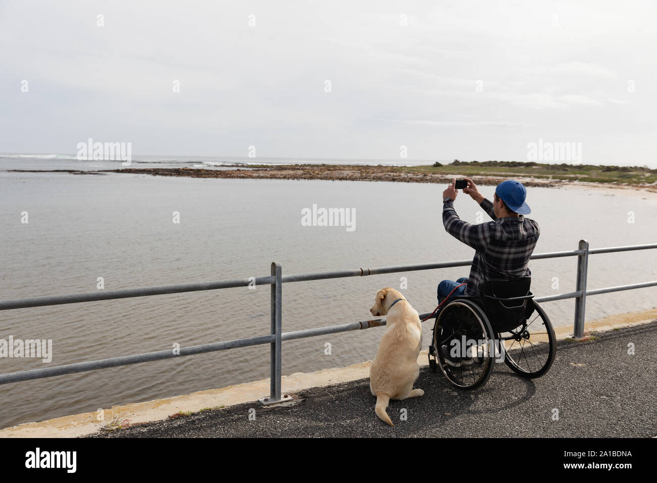 Disabled man in a wheelchair enjoying a day out Stock Photo - Alamy