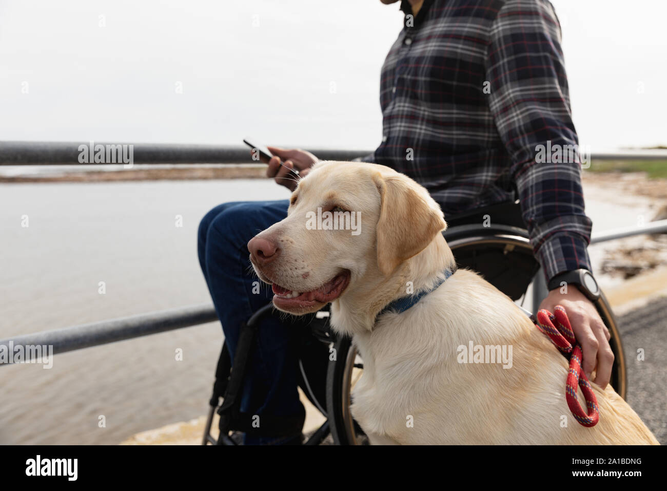 Disabled man in a wheelchair enjoying a day out Stock Photo - Alamy