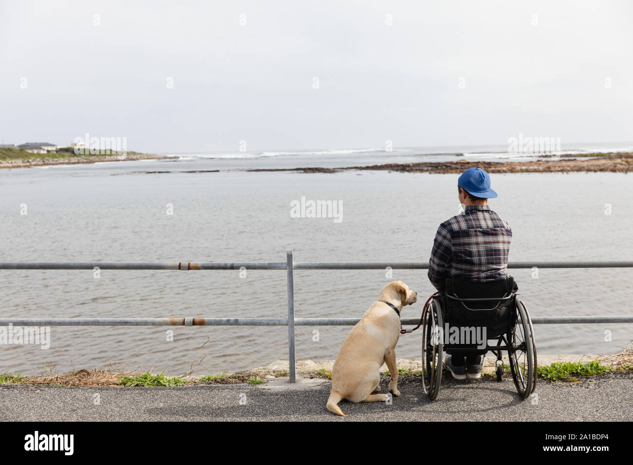Disabled man in a wheelchair enjoying a day out Stock Photo - Alamy