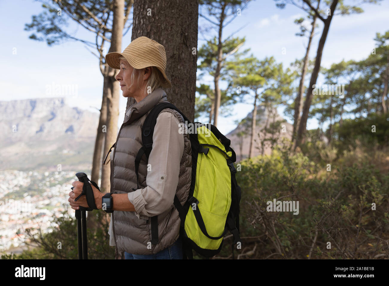 Sticks enjoying hi-res stock photography and images - Alamy