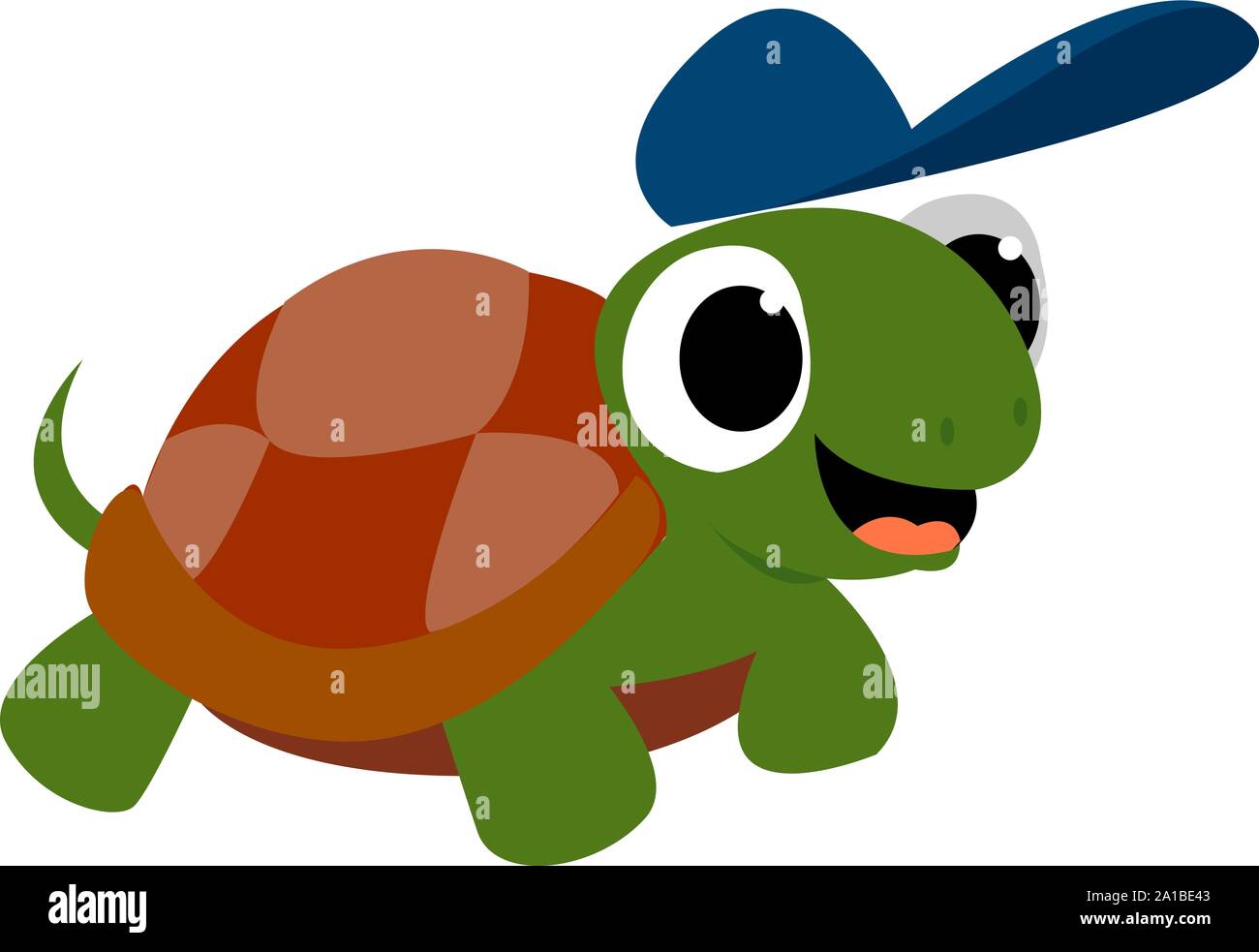 Turtles Wearing Hats