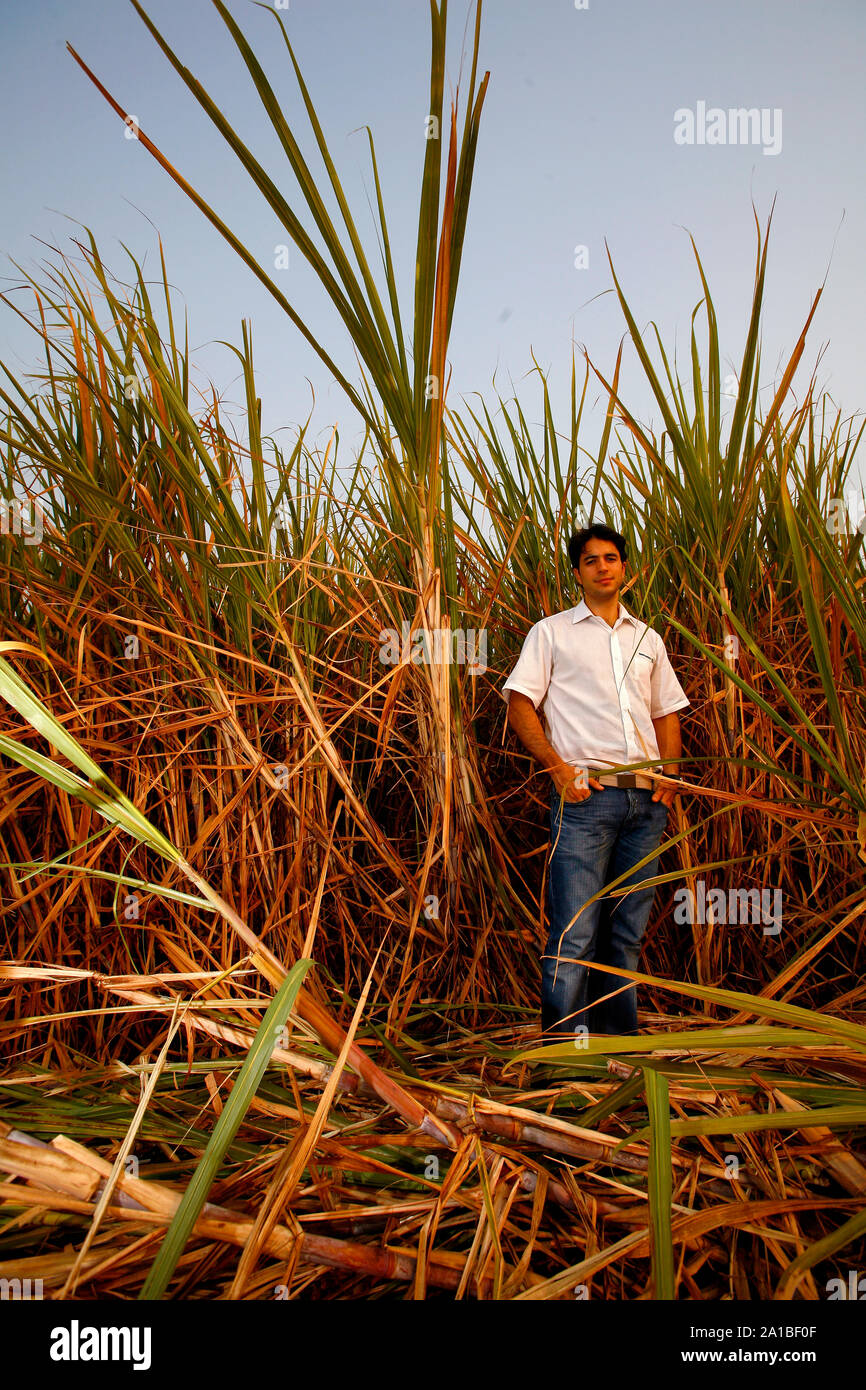 Pedro Biagi of the Biagi Sugar family sees a bright future as Brazil ...