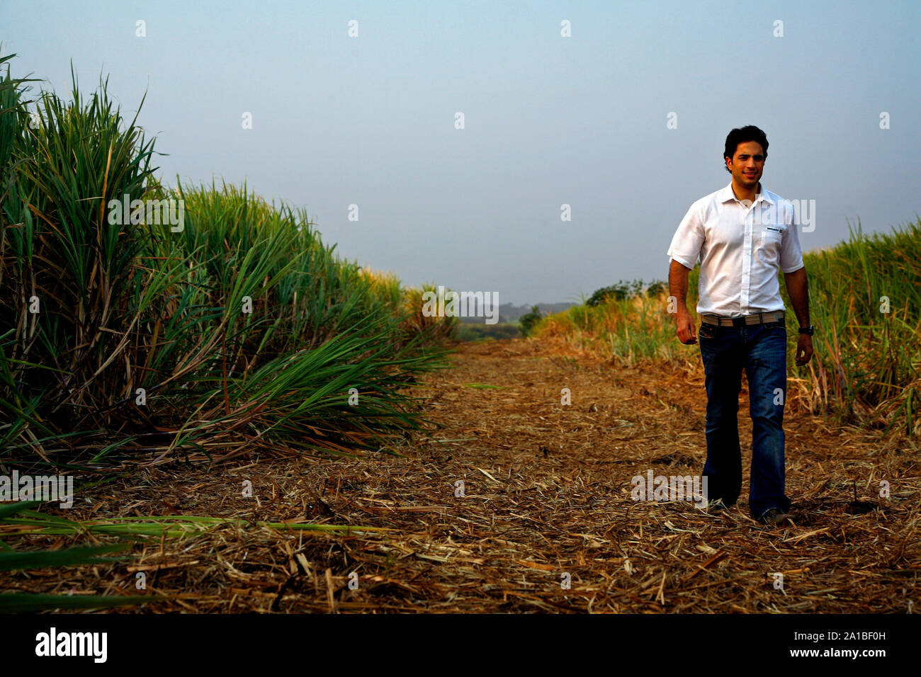 Pedro Biagi of the Biagi Sugar family sees a bright future as Brazil ...