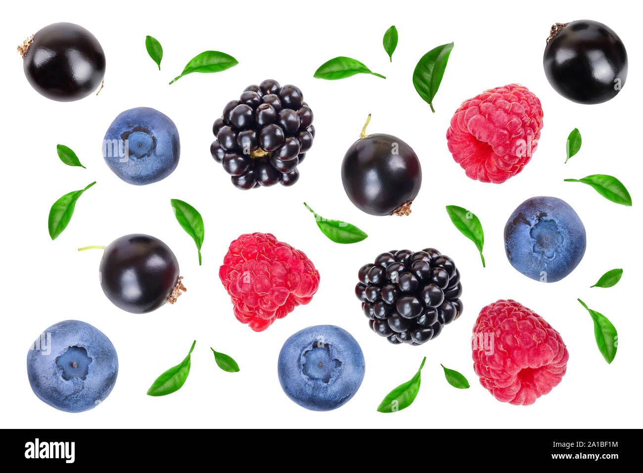 mix of blackberry blueberry raspberry isolated on white background. Top ...