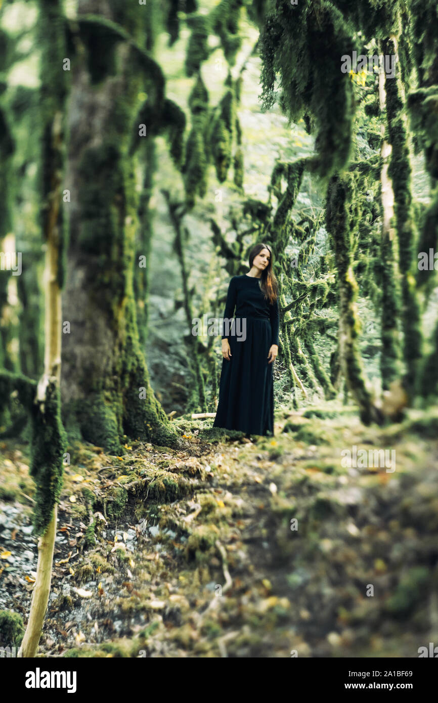 Vampire Forest Background Vampire Queen Walking Fog Beautiful Girl