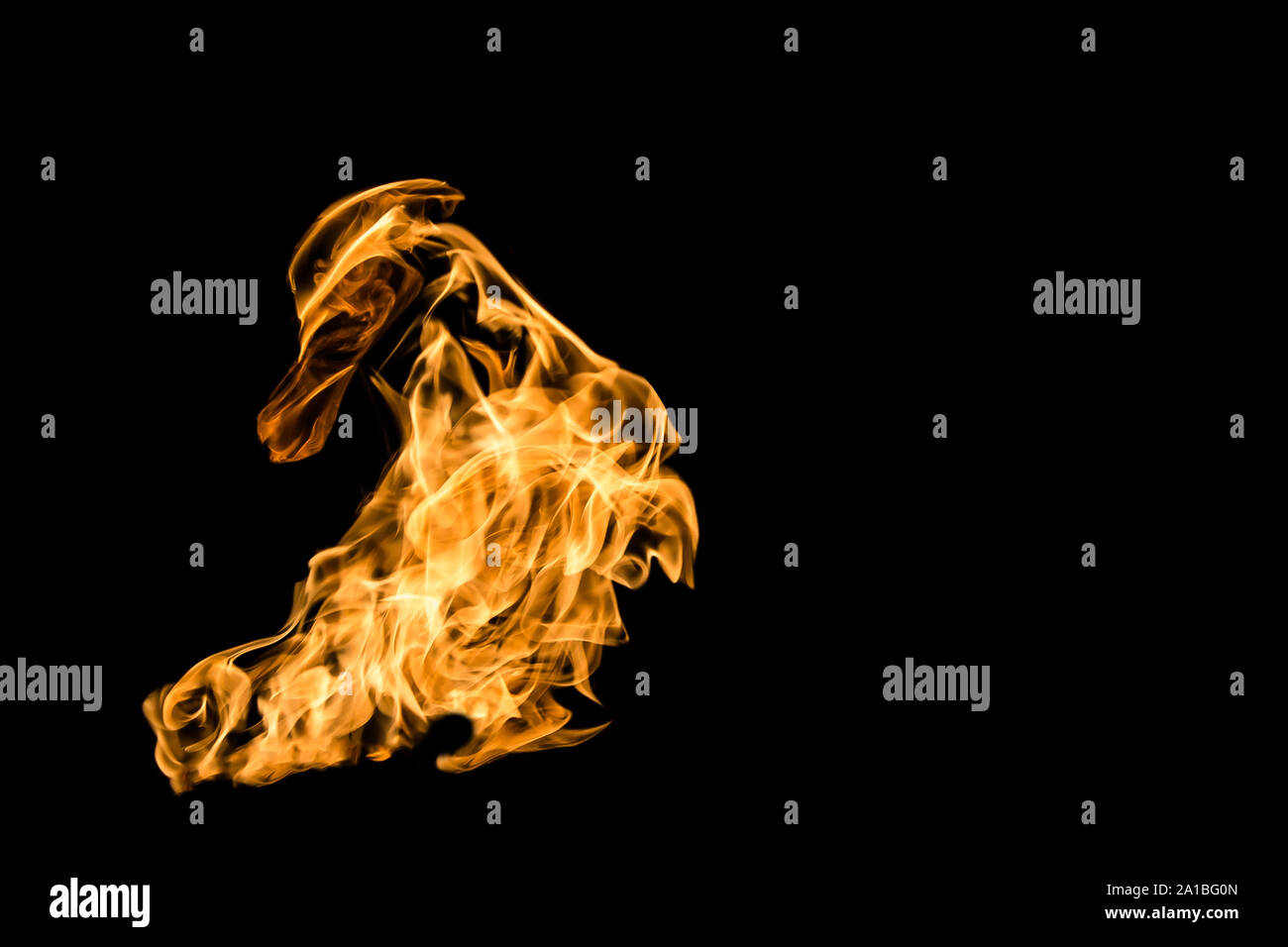 Fire flame on duck shaped on black isolated background. fire patterns ...