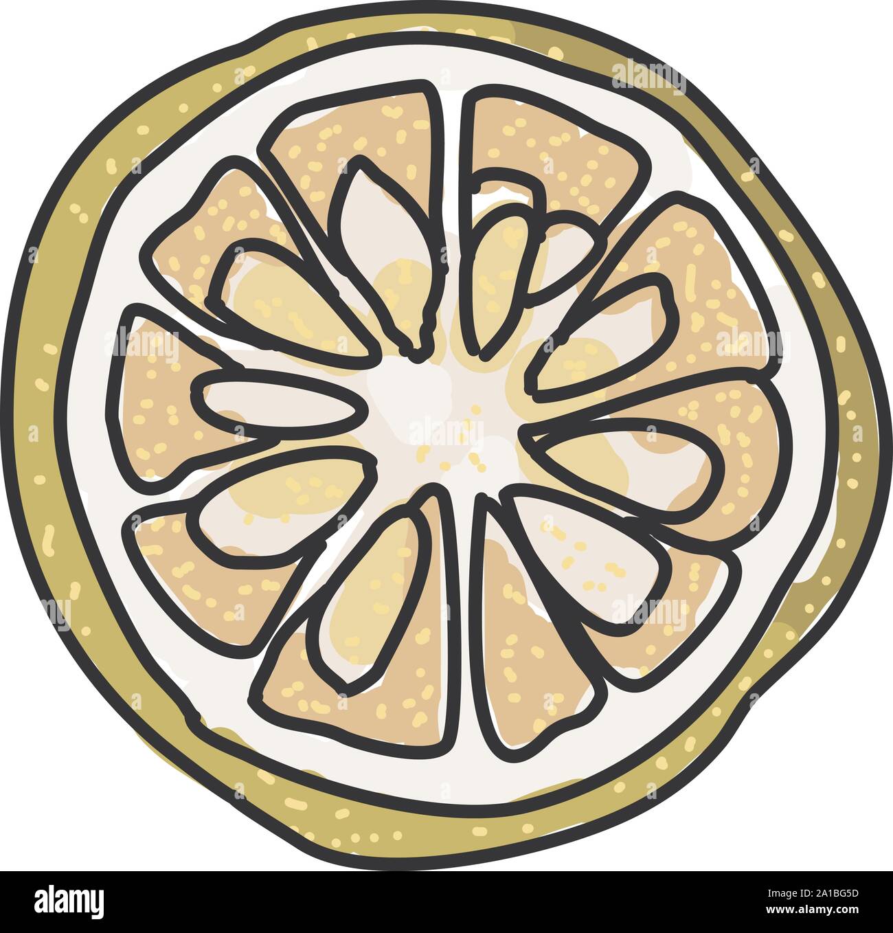 Half lemon, illustration, vector on white background Stock Vector Image ...