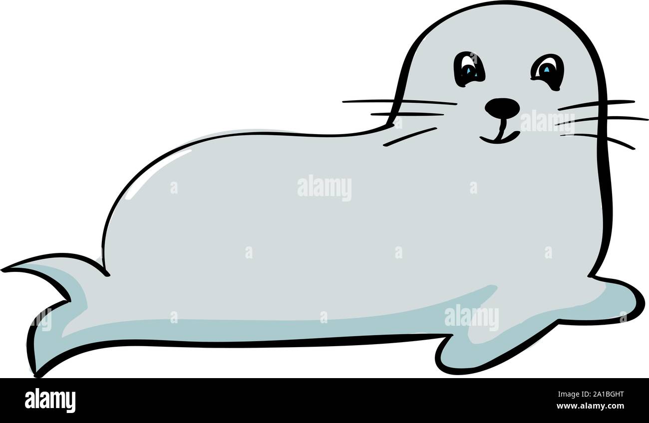 Cute seal, illustration, vector on white background Stock Vector Image ...
