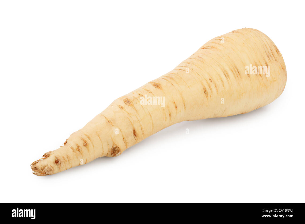 Parsnip root isolated on white background closeup Stock Photo - Alamy