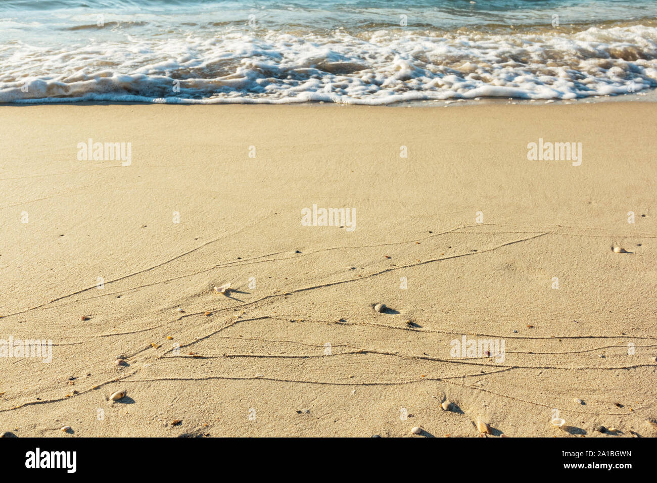 Sand beach with wave Stock Photo - Alamy