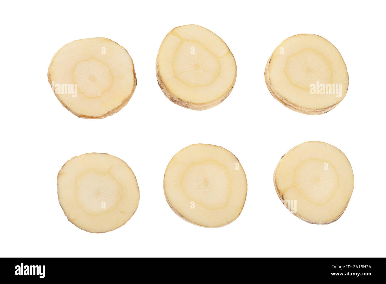 Parsnip root slice isolated on white background closeup. Top view. Flat ...