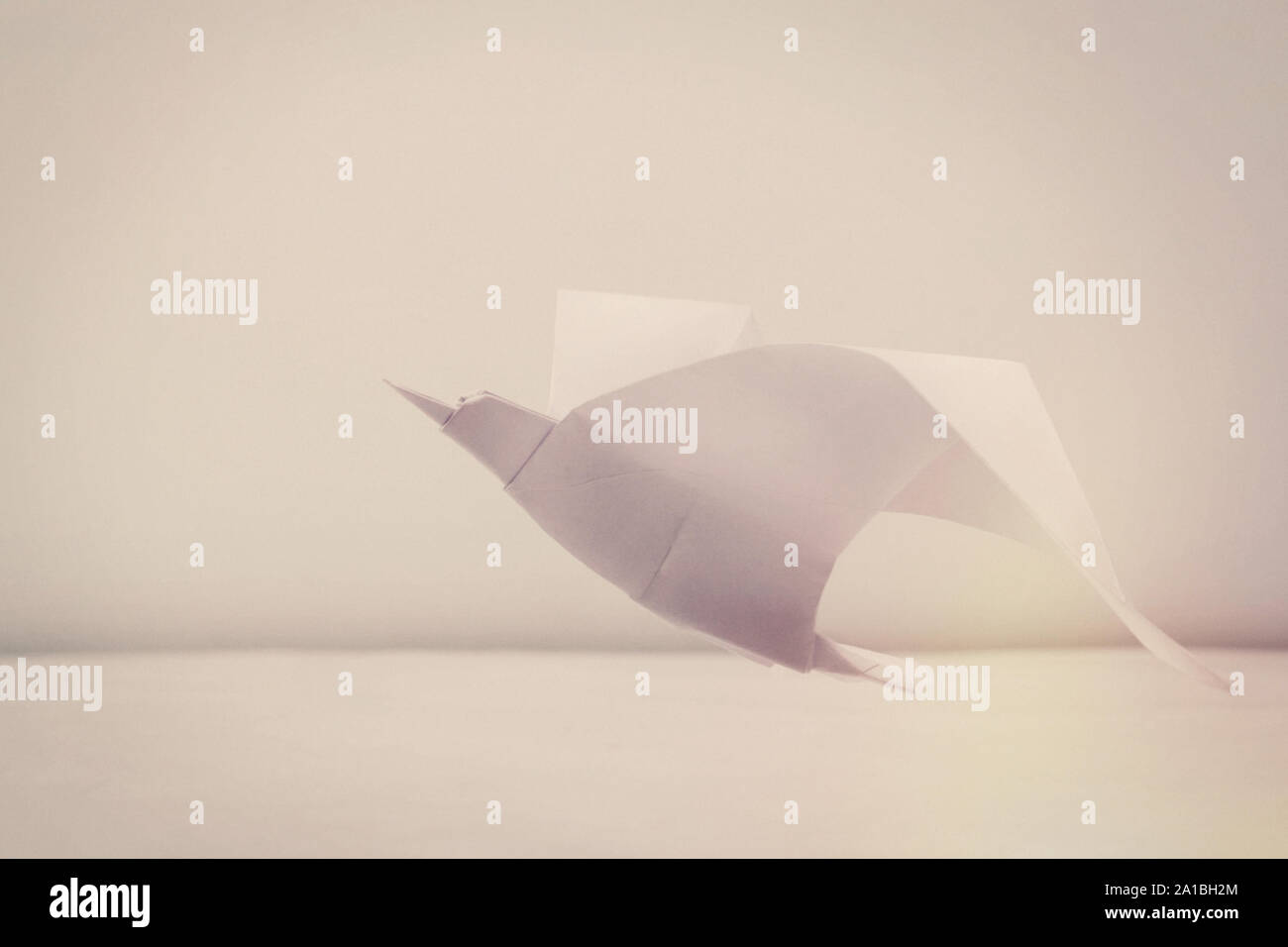 Origami freedom seagull Stock Photo - Alamy