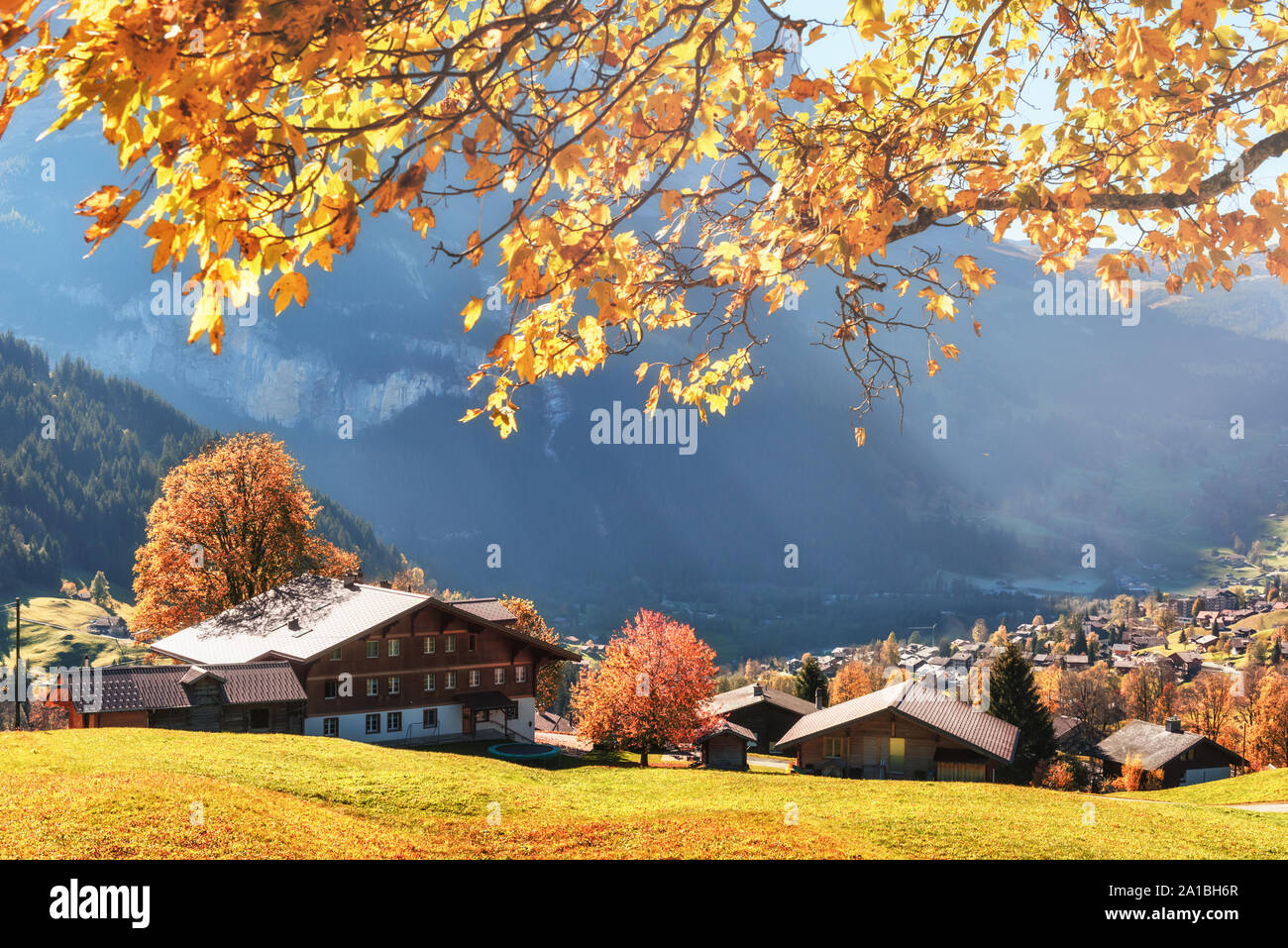 Switzerland scenery autumn grindelwald trees hi-res stock photography ...