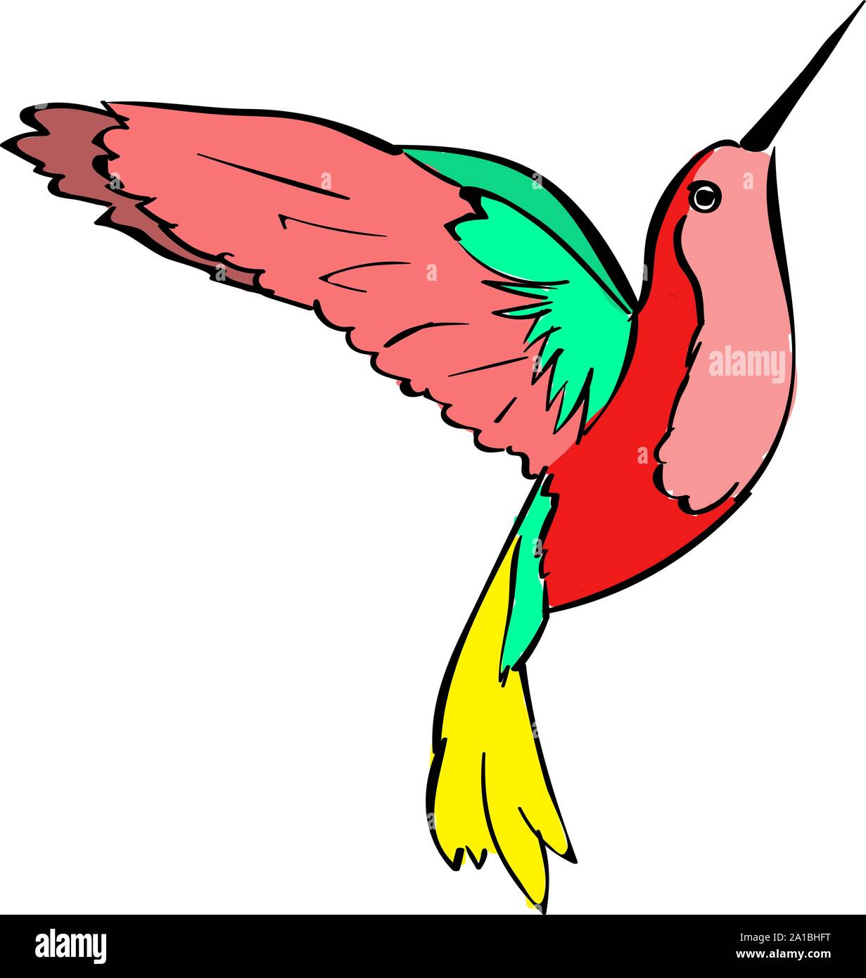 Colibri, illustration, vector on white background Stock Vector Image ...