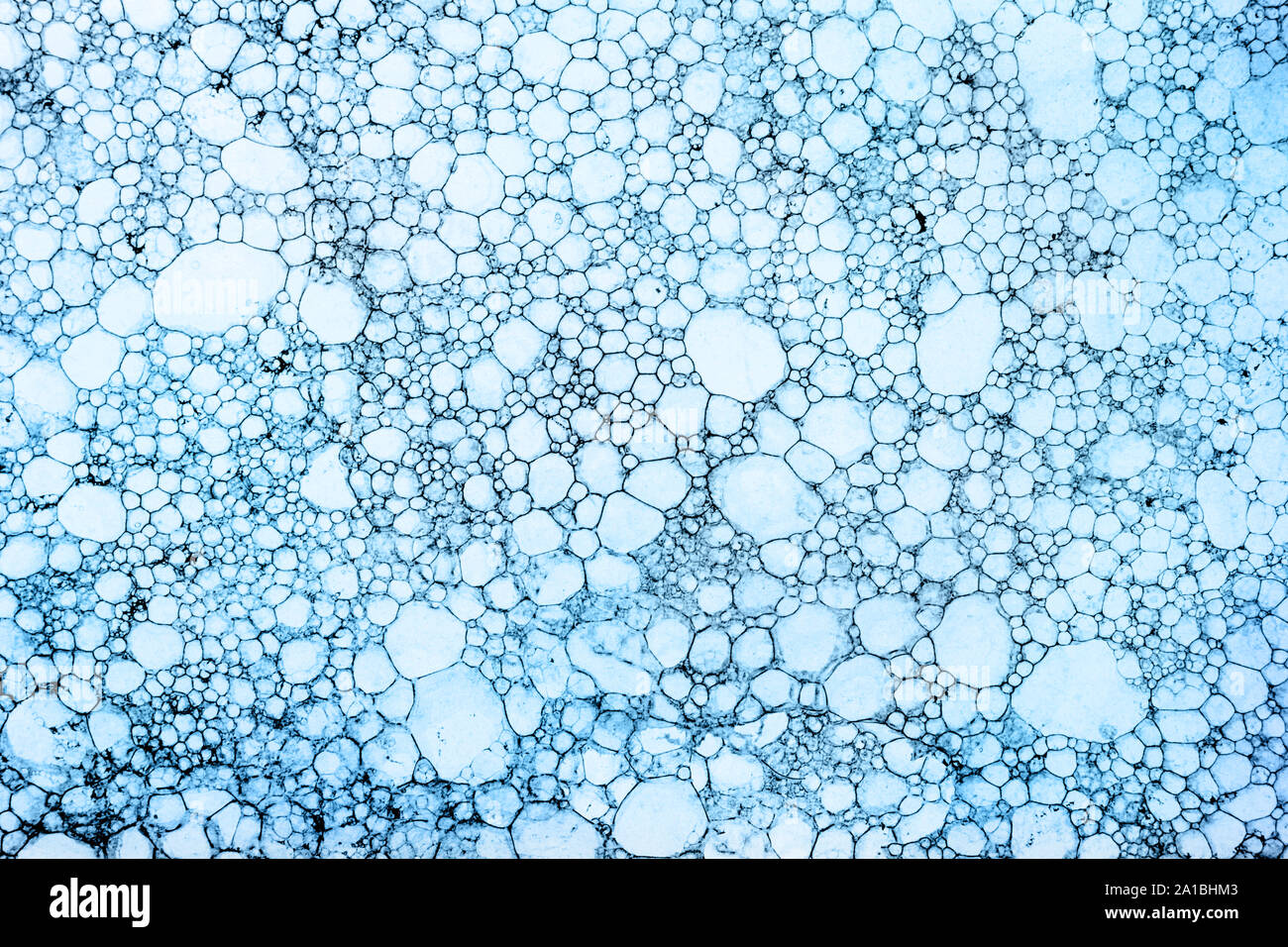 Watercolor abstract foam art background Stock Photo - Alamy