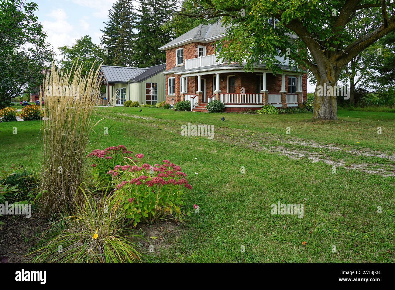 Frederick banting and charles best hi-res stock photography and images ...
