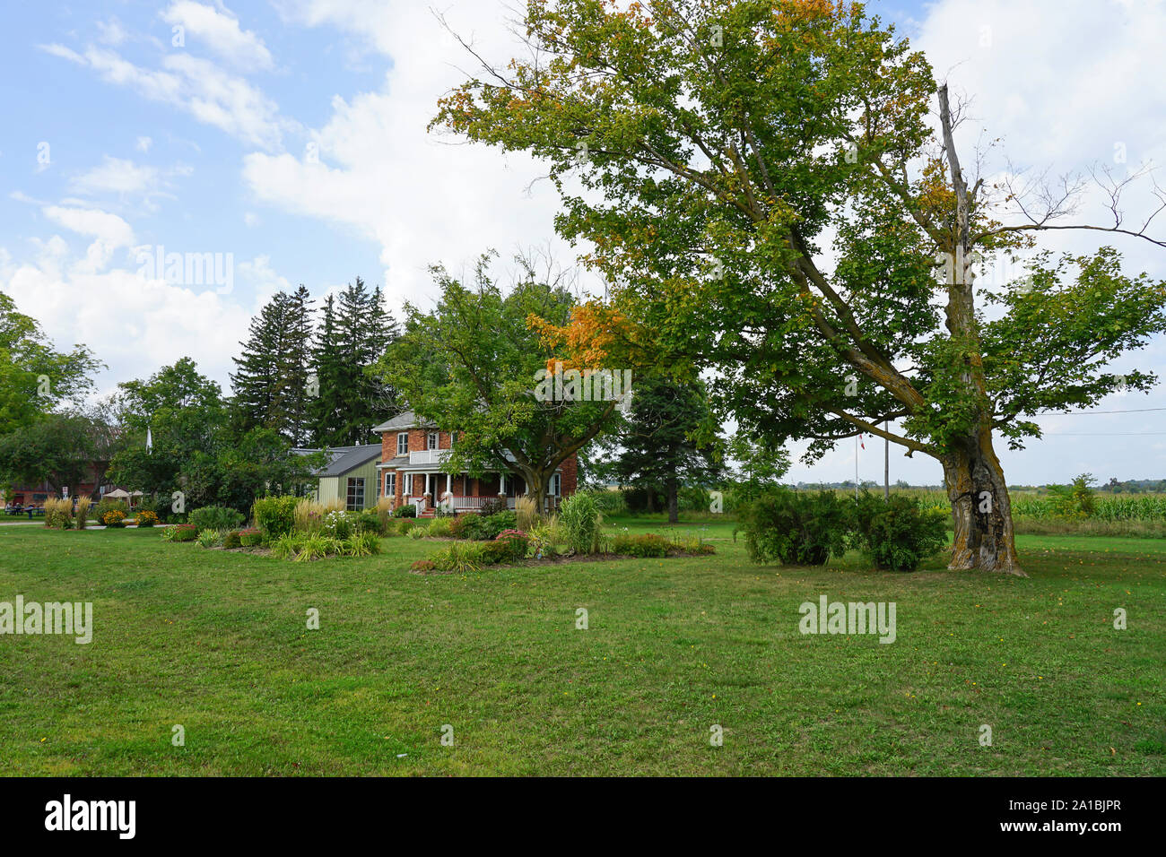 Charles best and sir frederick banting hi-res stock photography and ...