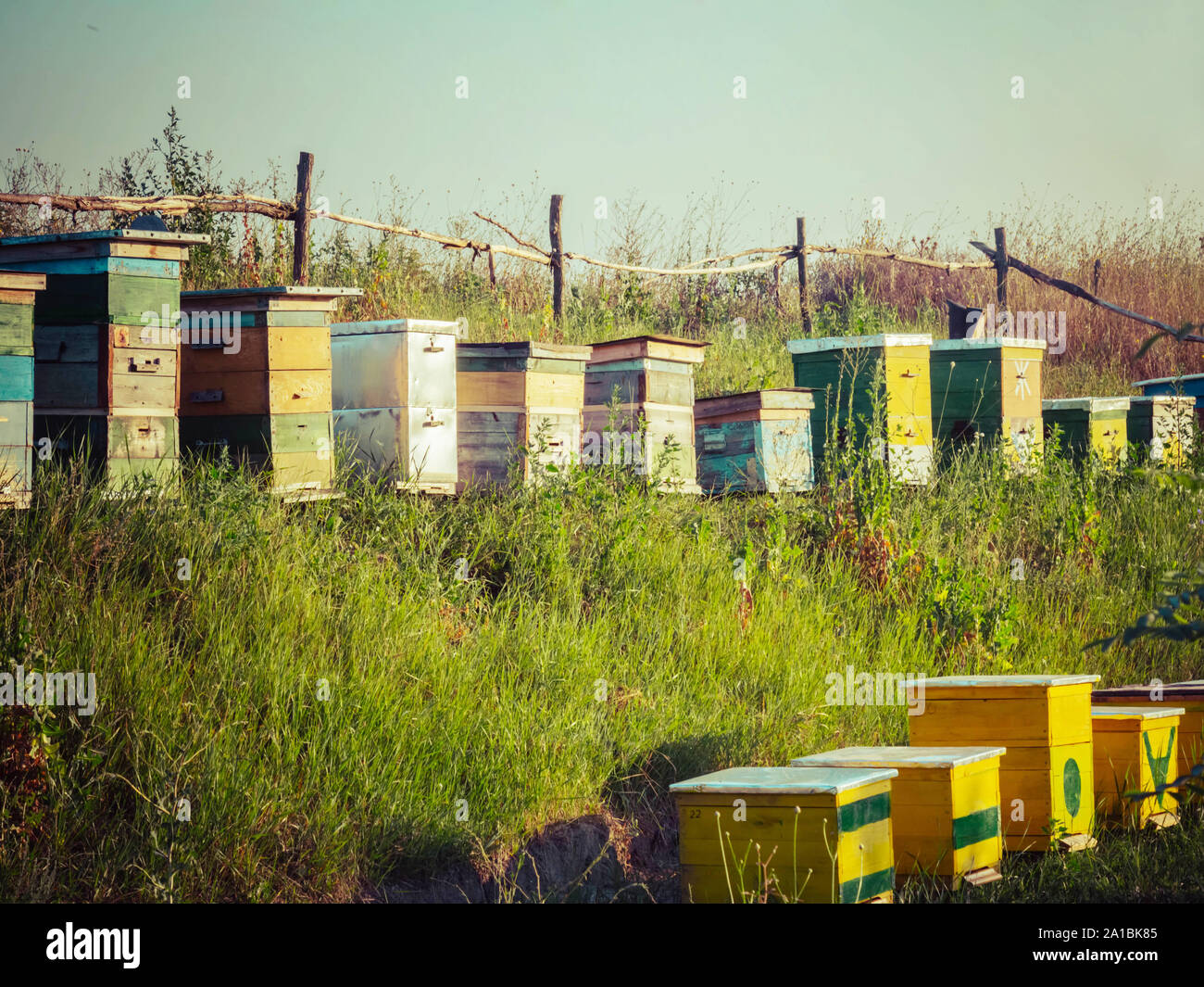 Summer apiary farm Stock Photo - Alamy