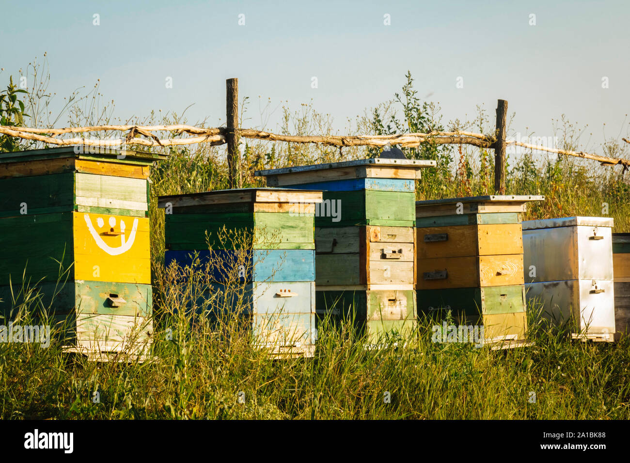 Summer apiary hi-res stock photography and images - Alamy