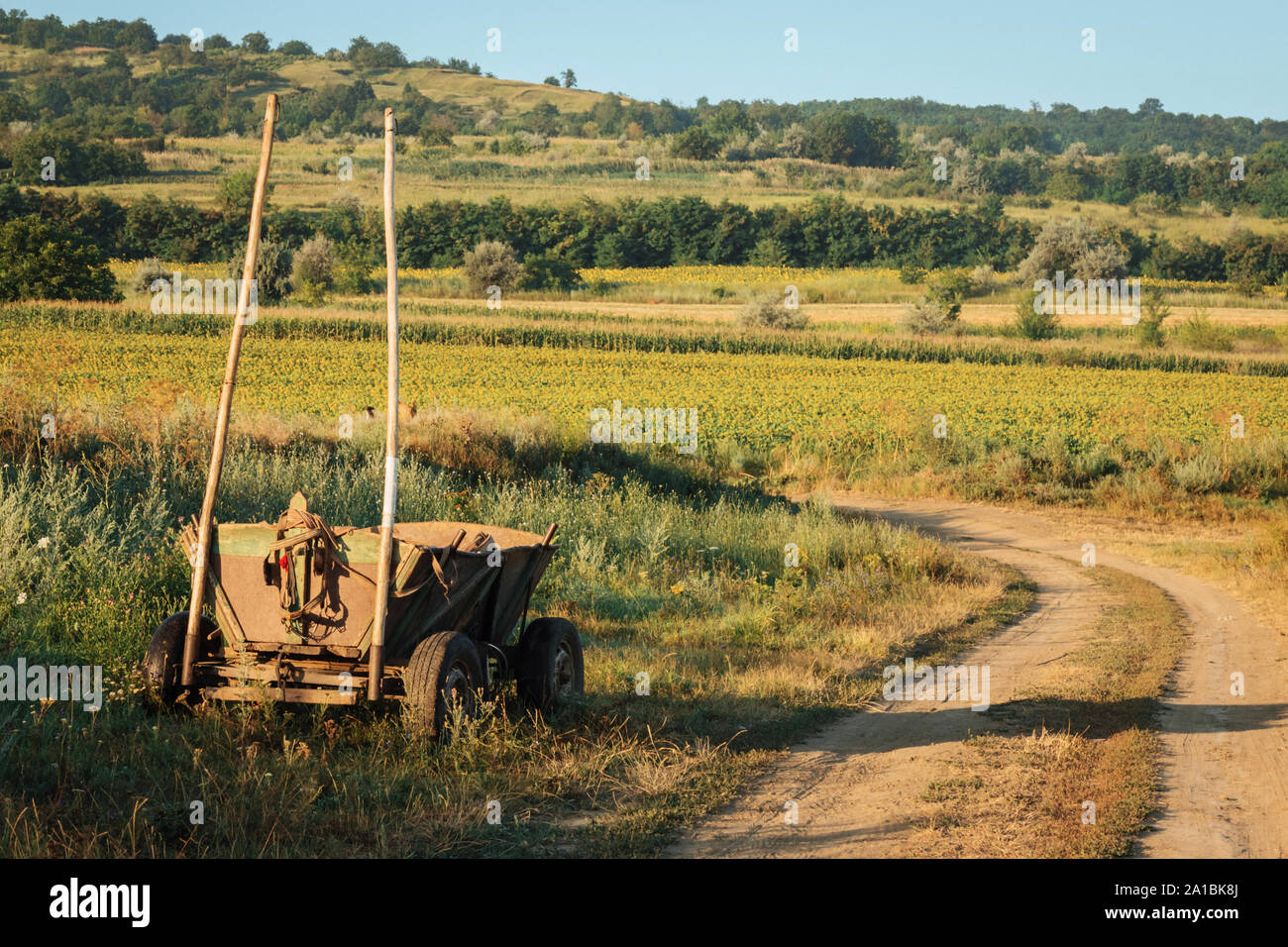Rural cart in summer Stock Photo - Alamy