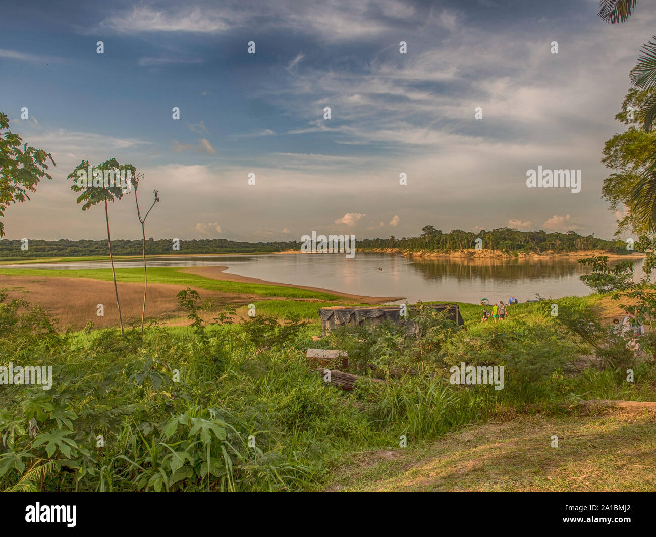 Javari River, the tributary of the Amazon River during low water season ...