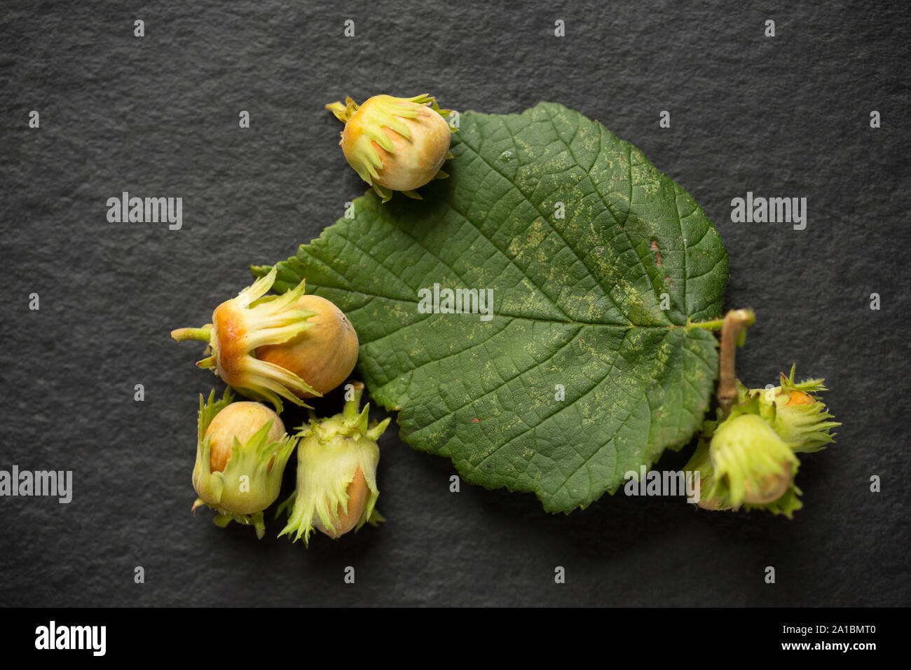 Autumn Fruits Uk High Resolution Stock Photography and Images - Alamy