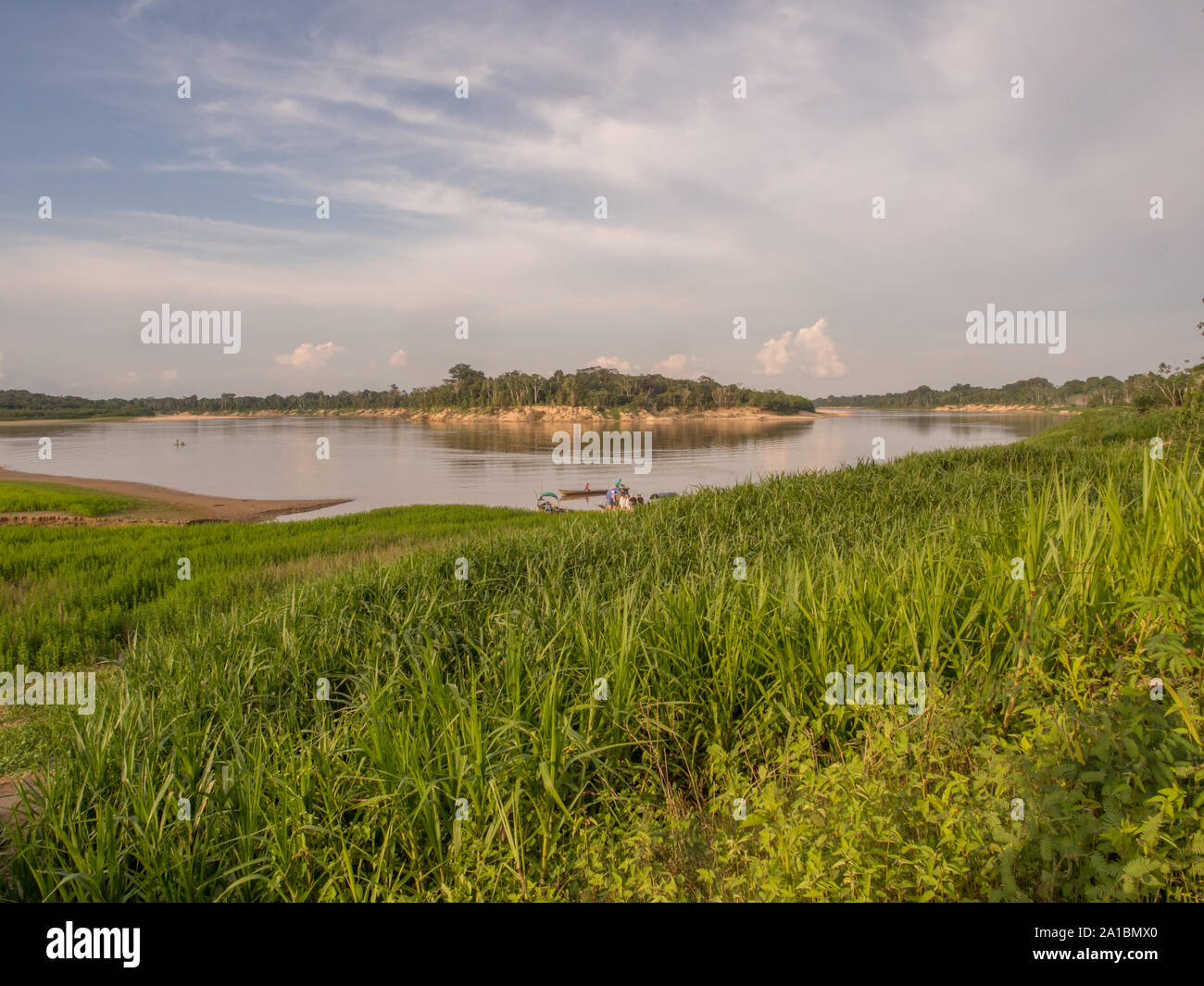 View for Javari River, the tributary of the Amazon River during low ...