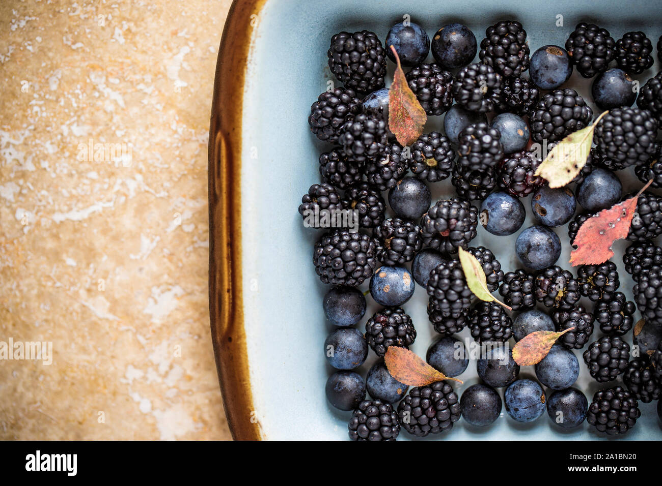 Foraged nature hi-res stock photography and images - Alamy