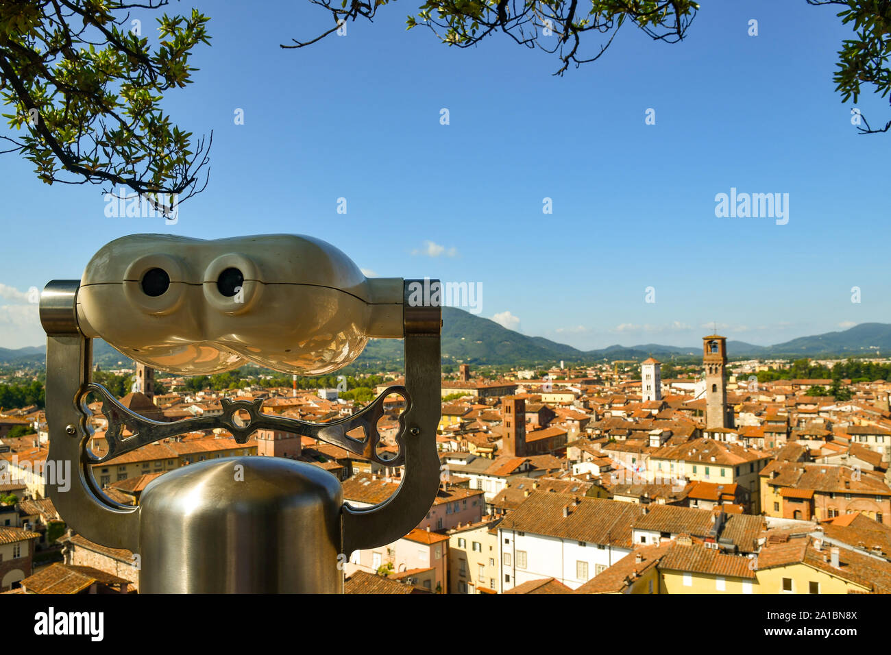 Lucca tower trees hi-res stock photography and images - Alamy