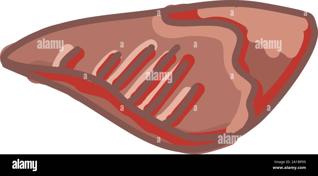 Red meat, illustration, vector on white background Stock Vector Image ...