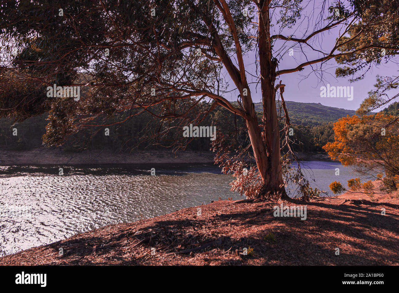 Mula dam hi-res stock photography and images - Alamy