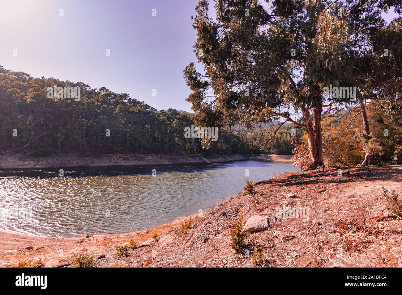 Midle season hi-res stock photography and images - Alamy