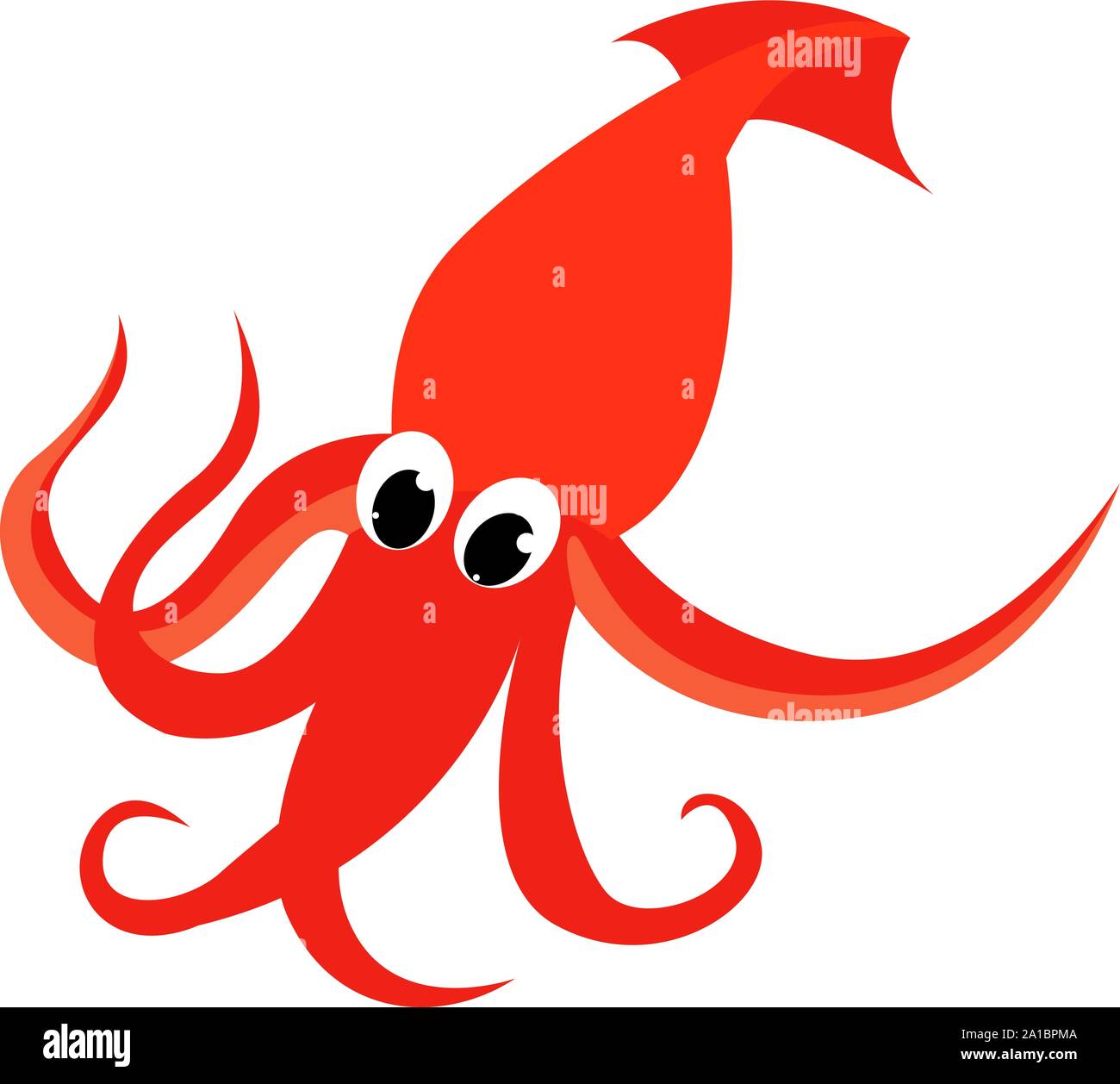 Red cuttlefish, illustration, vector on white background Stock Vector ...