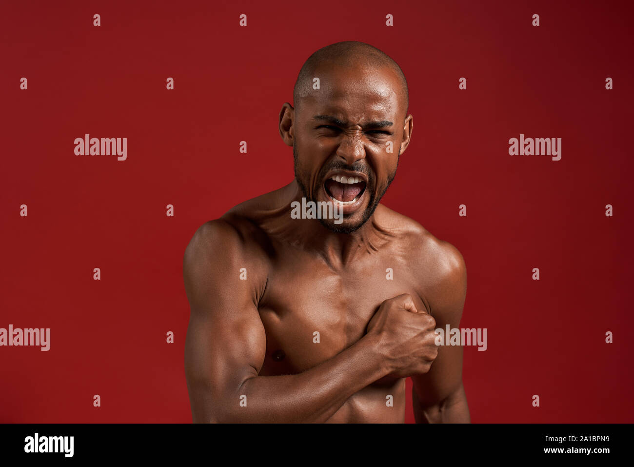 Close up portrait of strong african man shouting at camera and hitting ...