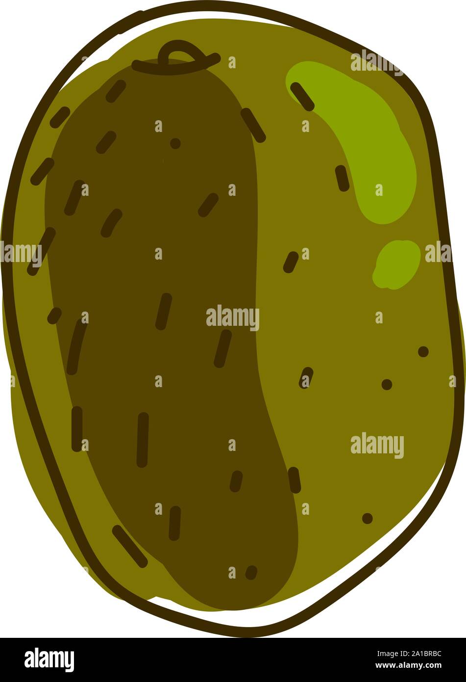 Kiwi drawing, illustration, vector on white background Stock Vector ...
